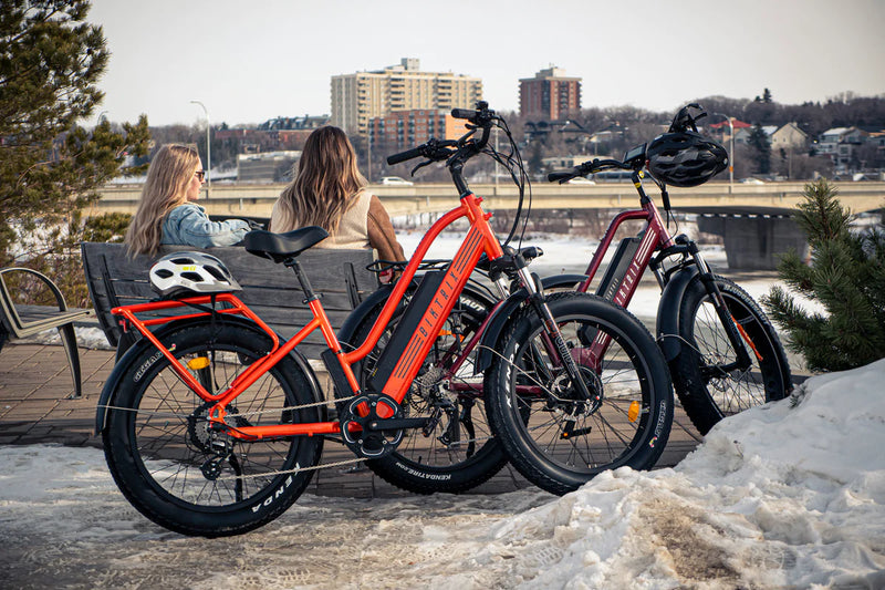 Ebikes Online: Fast Shipping Electric Bikes Designed in Canada