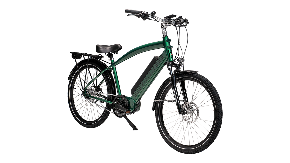 Ebikes Online: Fast Shipping Electric Bikes Designed in Canada