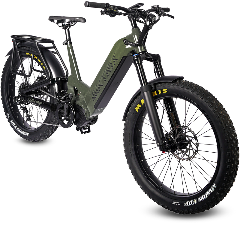 Juggernaut FS Step Thru - Fat | Juggernaut Series - Biktrix