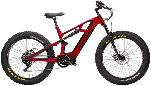 Step-Over Electric Bikes | Biktrix